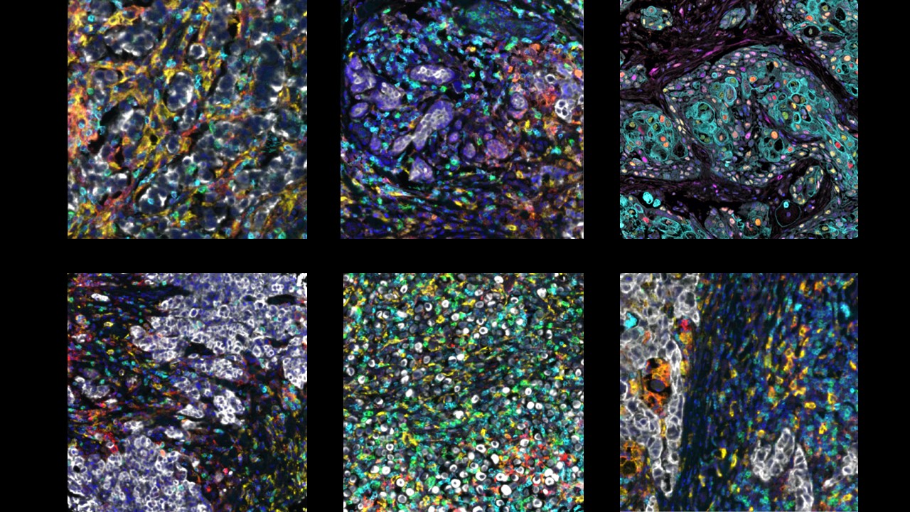 Advanced Tissue Imaging Shared Resource (ATISR) | Roswell Park ...