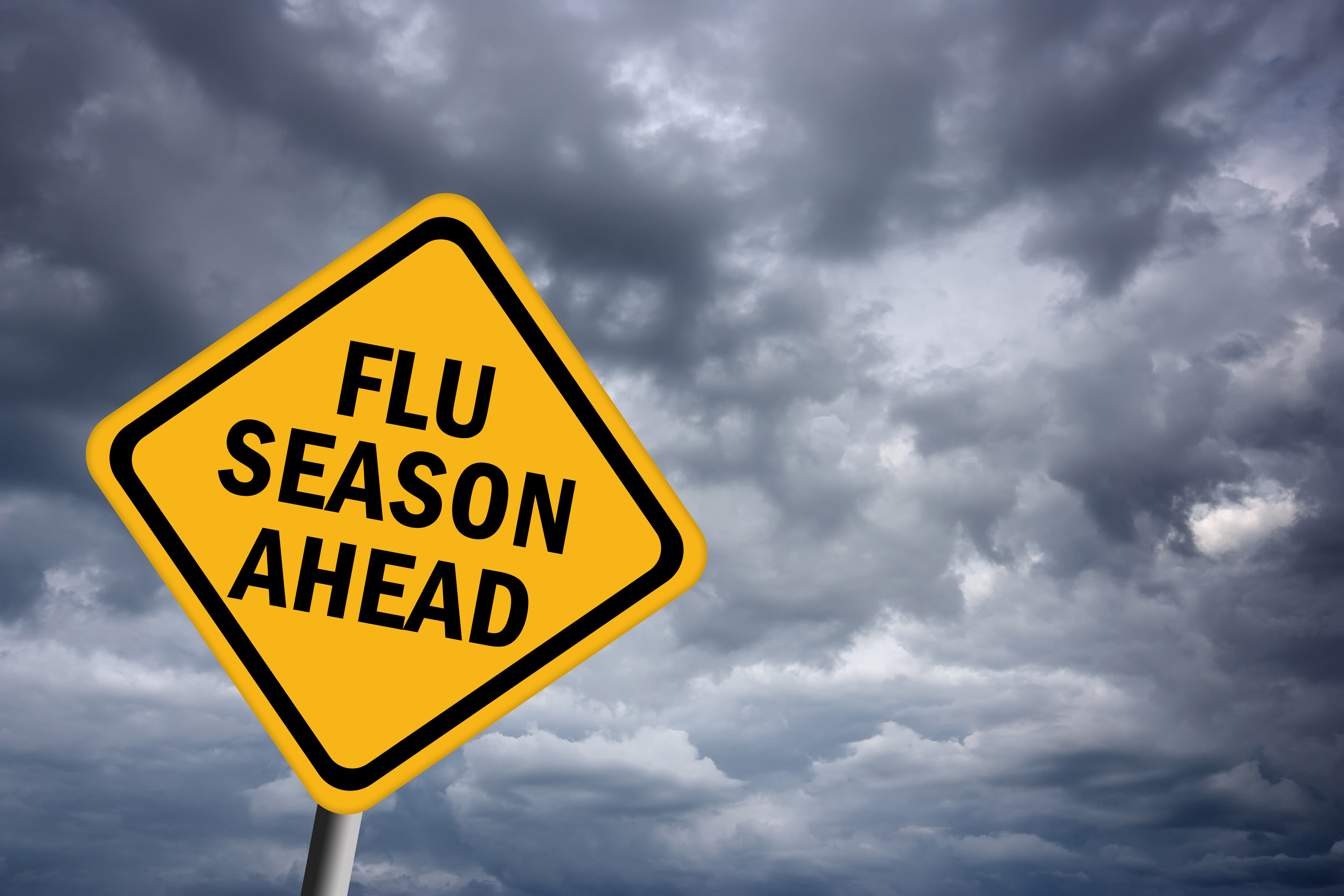 Flu Season: A Guide for Patients and Caregivers | Roswell Park ...