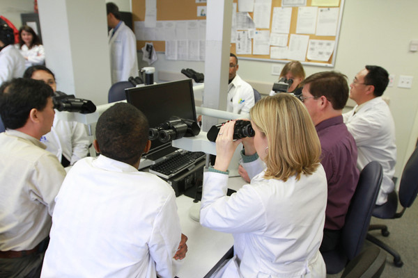 Colon and Rectal Cancer - Buffalo and WNY | Roswell Park Cancer Institute