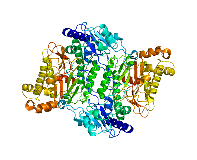 Roswell Park Reports New Path to Overcoming Drug Resistance in HER2 ...