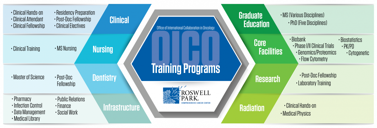 Office of International Collaboration in Oncology (OICO) | Roswell Park ...