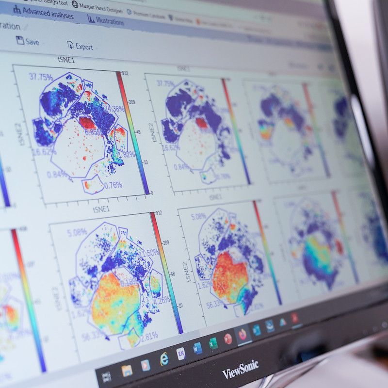 Department of Immunology | Roswell Park Comprehensive Cancer Center ...