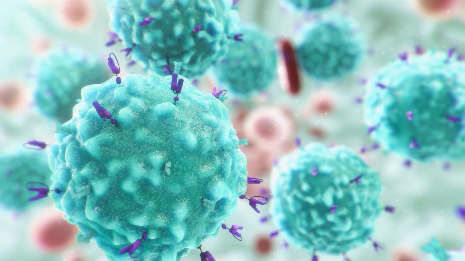 Abecma™ (idecabtagene vicleucel) | Roswell Park Comprehensive Cancer ...