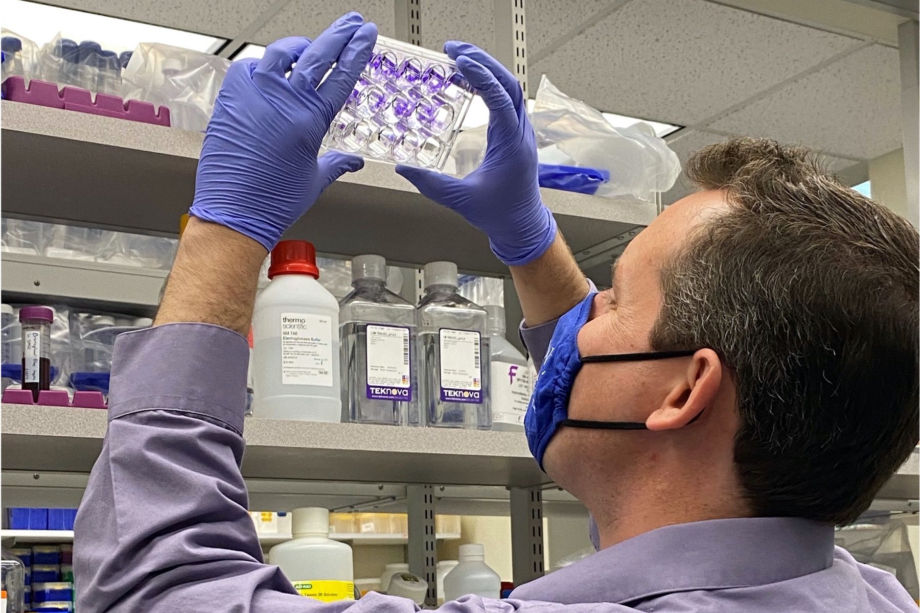 Department of Molecular & Cellular Biology | Roswell Park Comprehensive ...