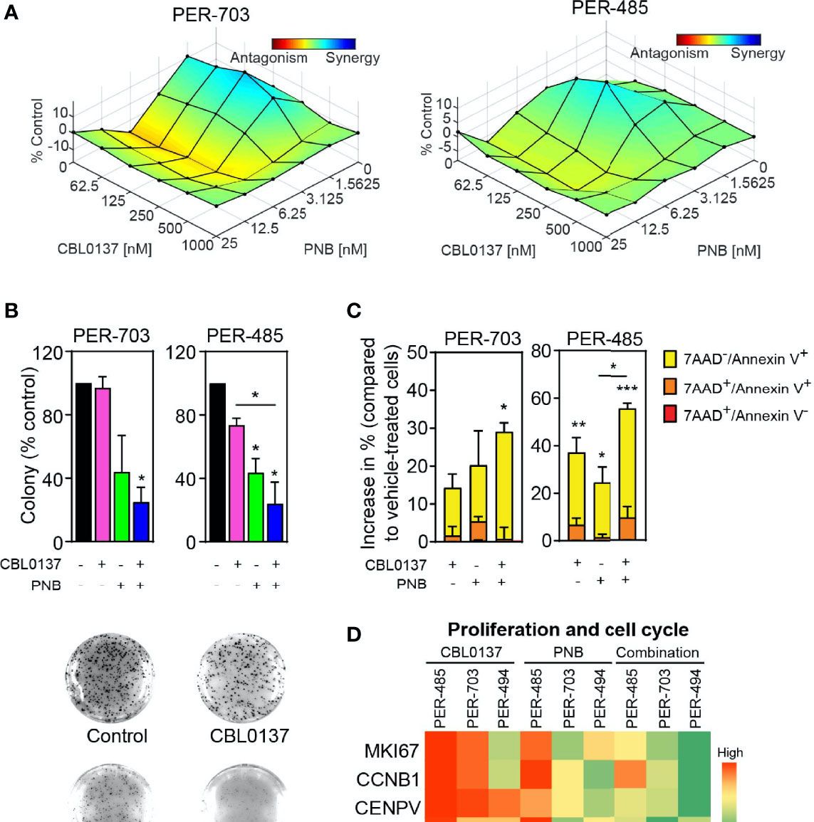 Gurova Lab Publications | Roswell Park Comprehensive Cancer Center ...