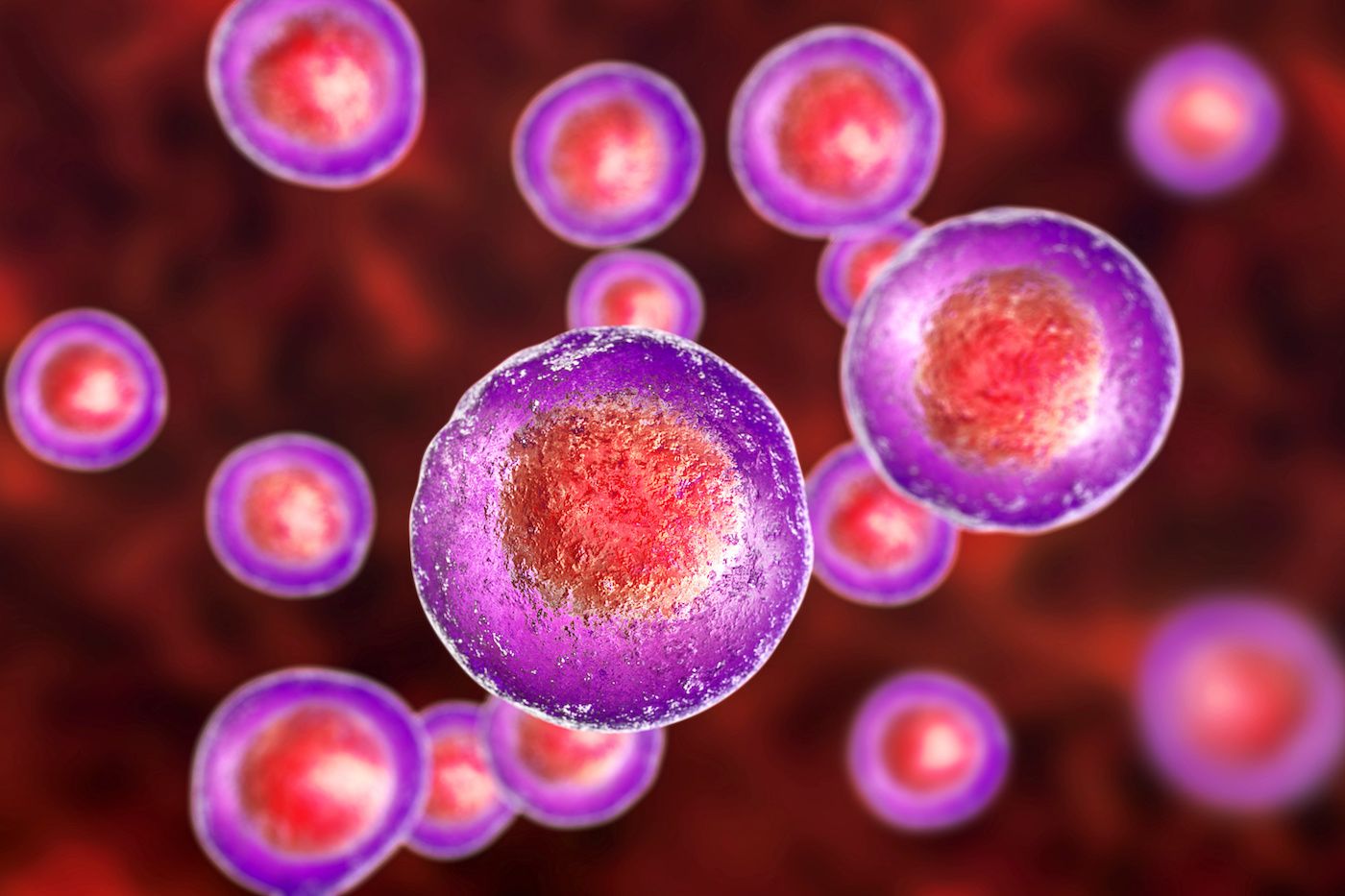 What Is Germ Cell Cancer Roswell Park Comprehensive Cancer Center what-is-germ-cell-cancer-roswell-park-comprehensive-cancer-center