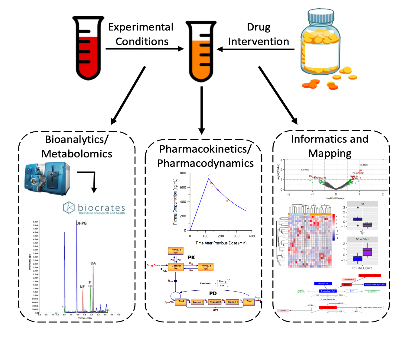 Bioanalytics, Metabolomics & Pharmacokinetics Shared Resource (BMPK ...