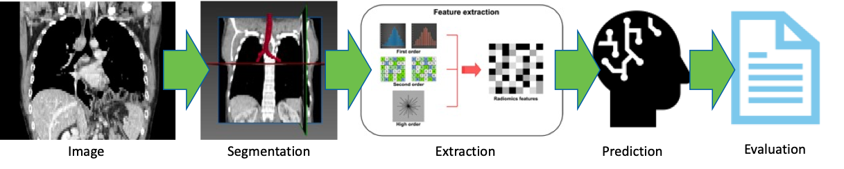 Roswell Center for Quantitative Imaging (ROCQI) | Roswell Park ...