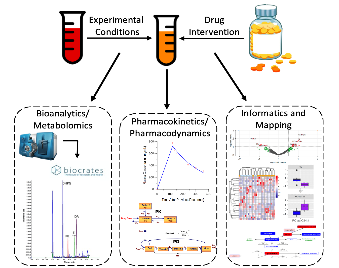Recurso compartido sobre bioanalítica, metabolómica y farmacocinética ...