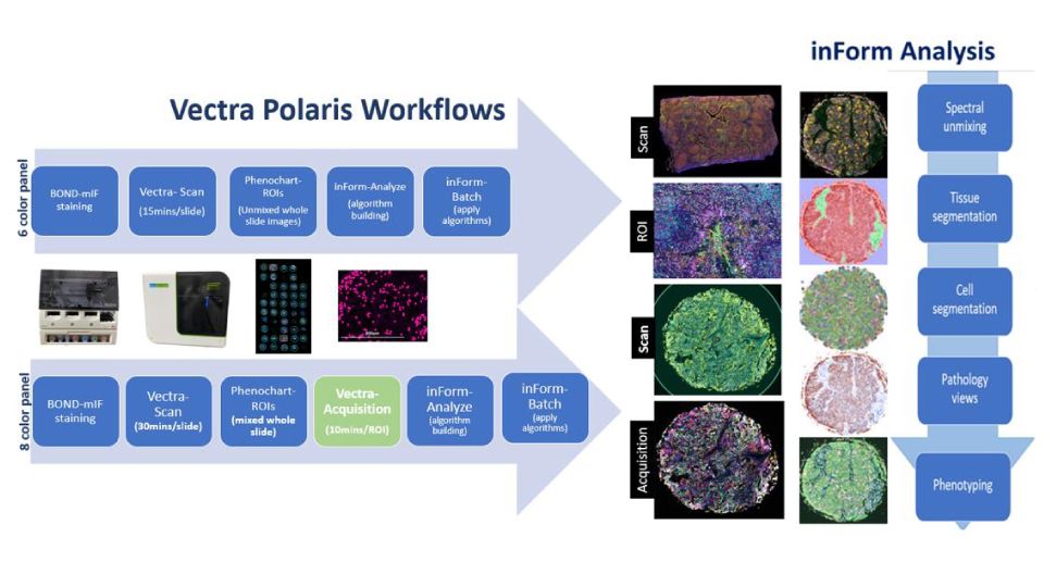 Advanced Tissue Imaging Shared Resource (ATISR) | Roswell Park ...
