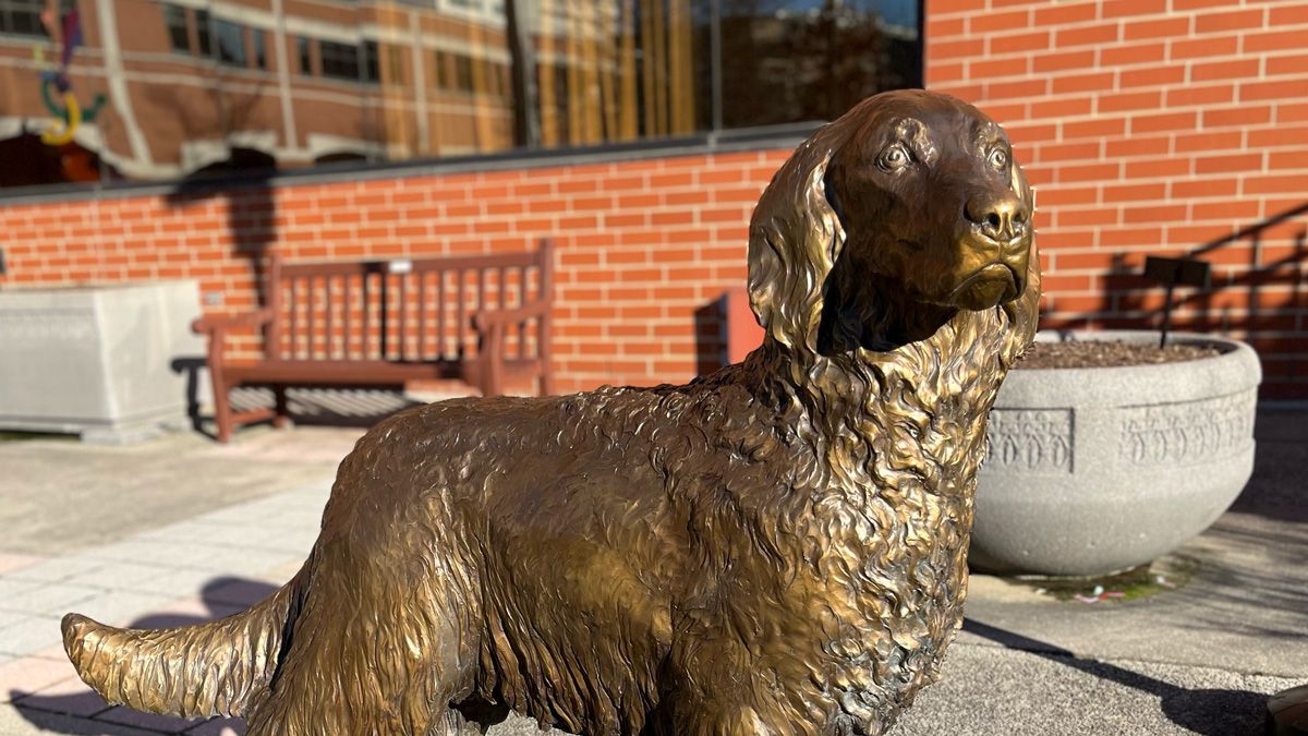 Therapy Dogs at Roswell Park | Roswell Park Comprehensive Cancer Center ...