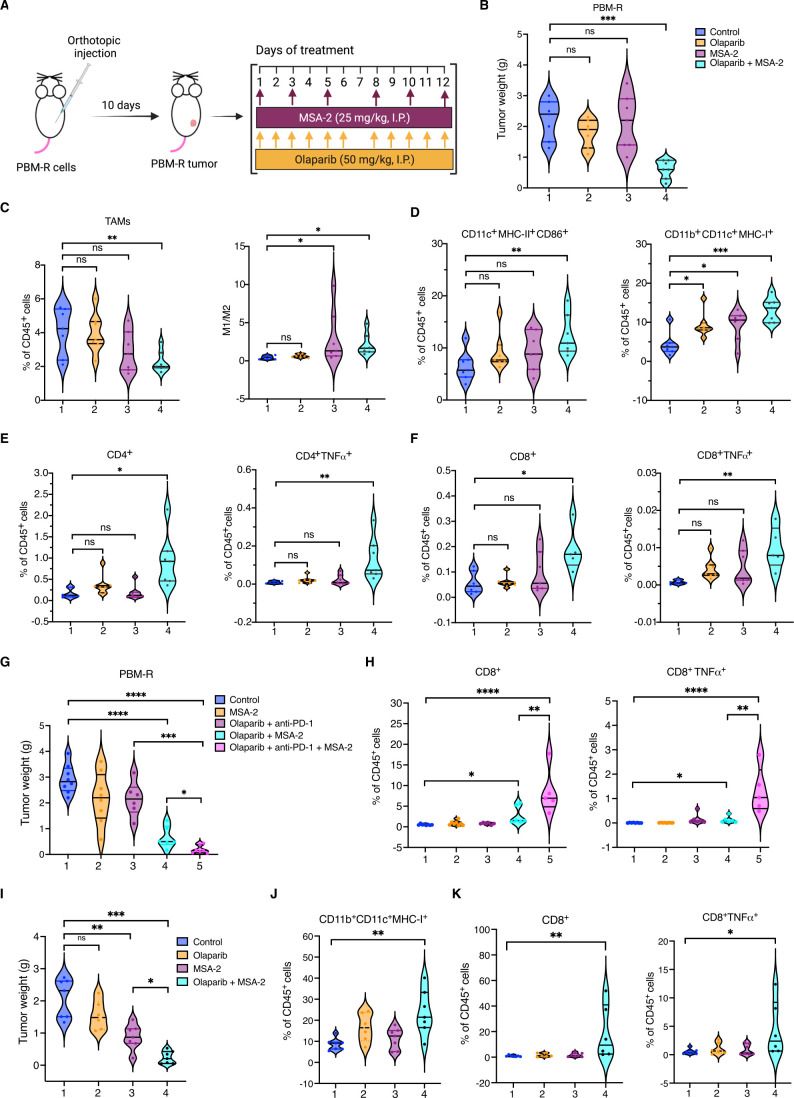 Ding Lab Publications | Roswell Park Comprehensive Cancer Center - Buffalo, NY