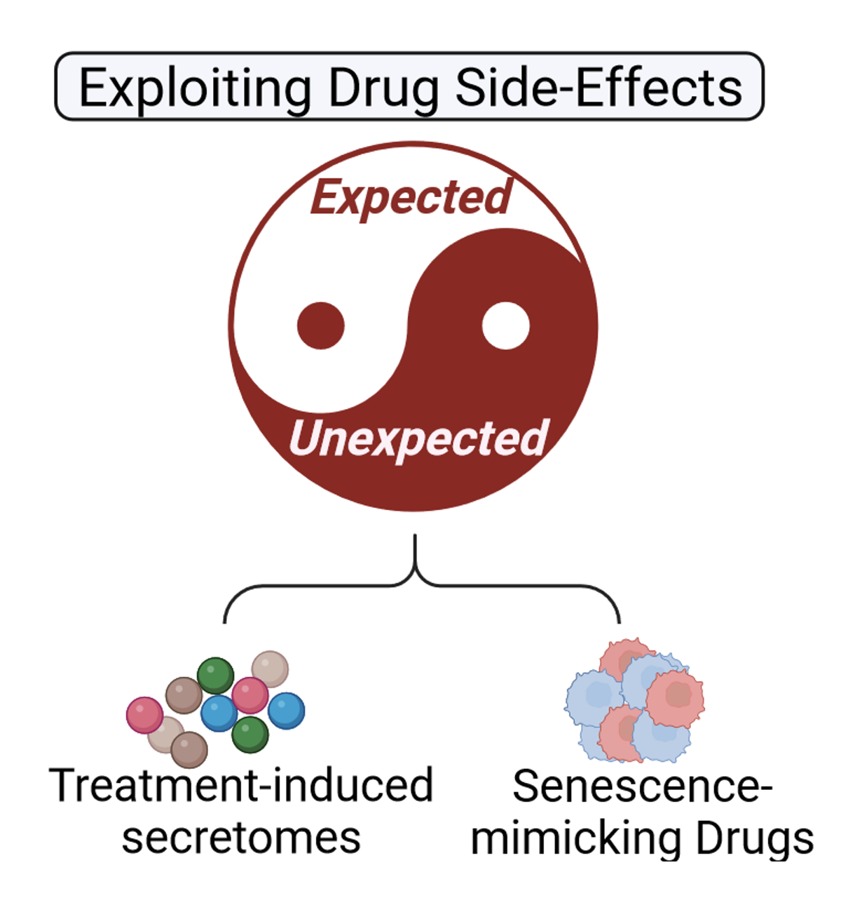 Ebos Lab | Roswell Park Comprehensive Cancer Center - Buffalo, NY