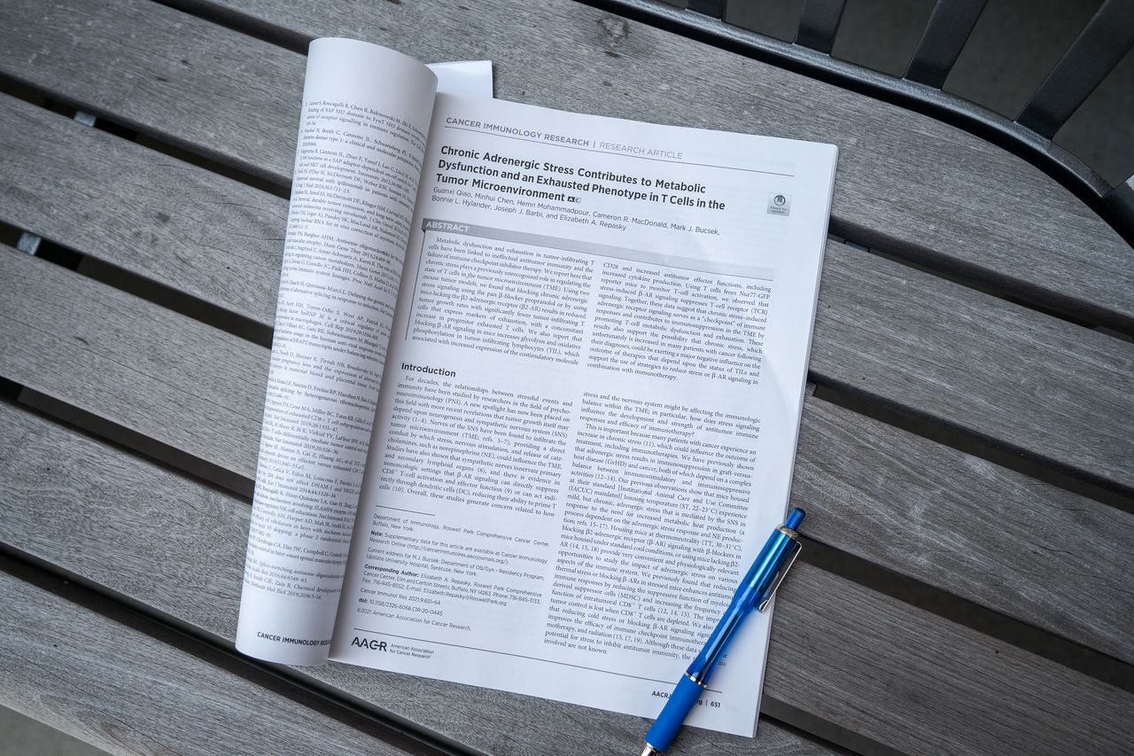 Repasky Lab Research & Clinical Trials | Roswell Park Comprehensive ...