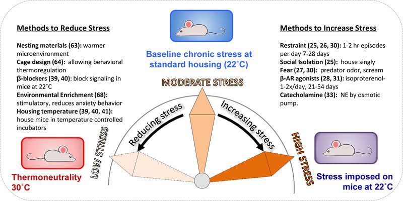 Repasky Lab Research & Clinical Trials | Roswell Park Comprehensive ...
