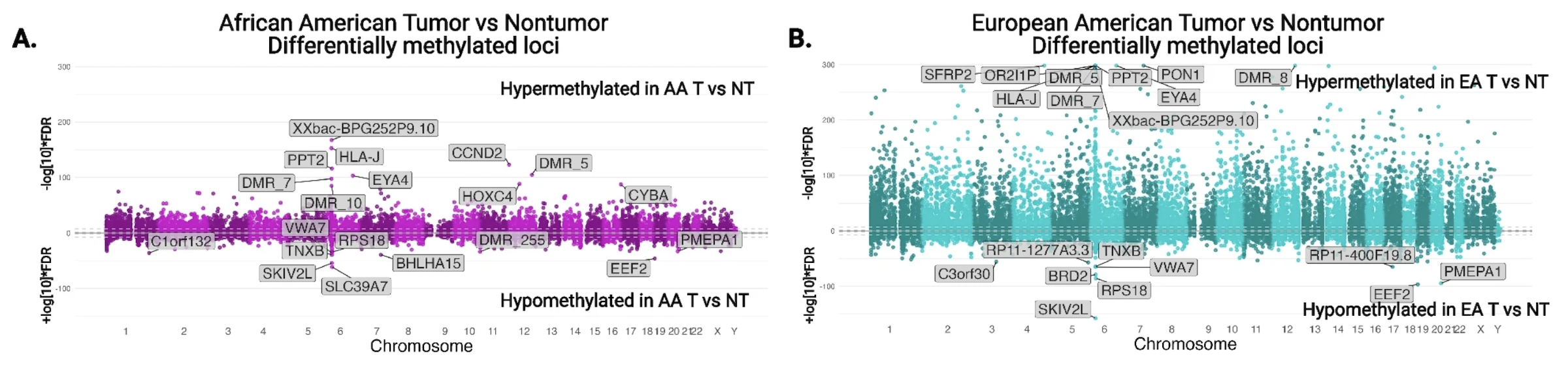 Woloszynska Lab Research: Prostate Cancer | Roswell Park Comprehensive ...