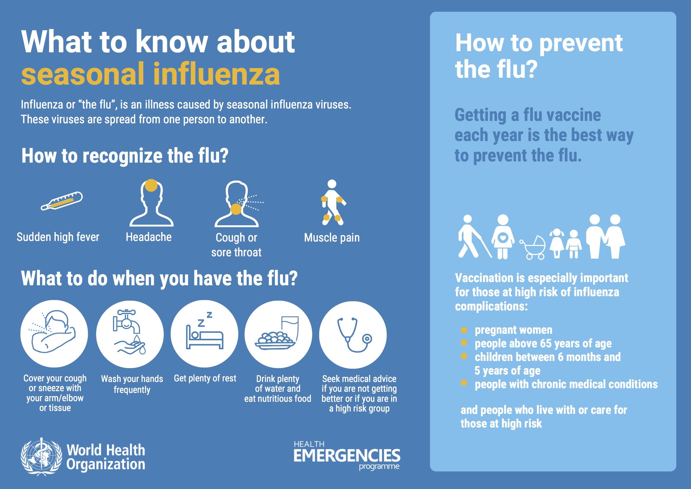 Flu Season: A Guide for Patients and Caregivers | Roswell Park ...