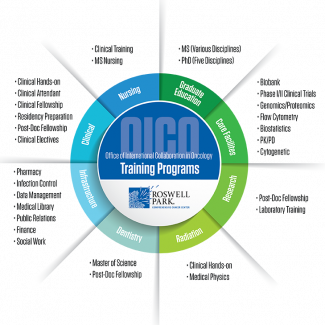 Office of International Collaboration in Oncology (OICO) | Roswell Park ...