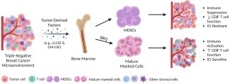 Abrams Lab | Roswell Park Comprehensive Cancer Center - Buffalo, NY