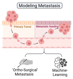 Ebos Lab | Roswell Park Comprehensive Cancer Center - Buffalo, NY
