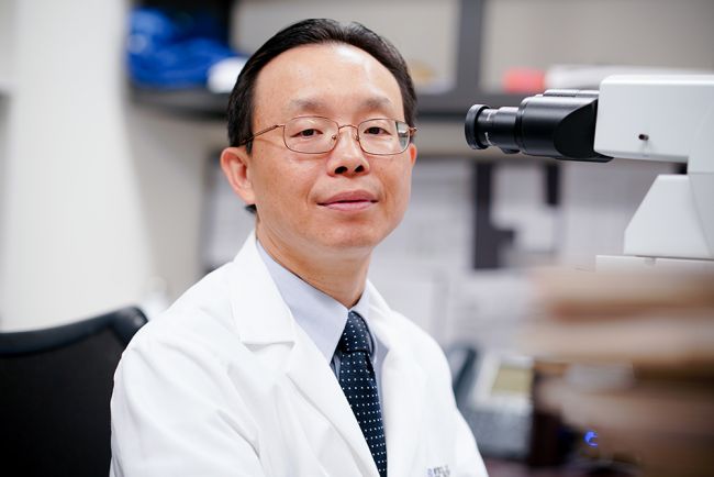 The Role of the Neuropathologist | Roswell Park Comprehensive Cancer ...