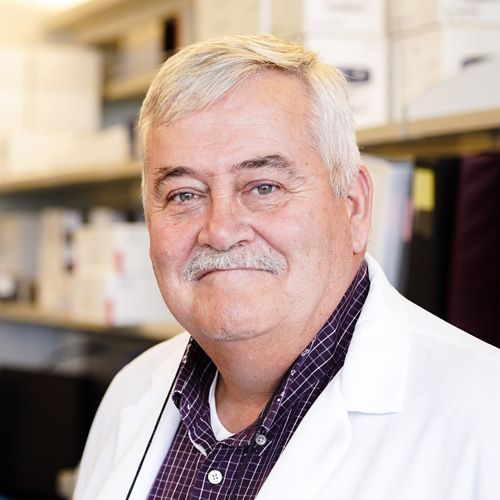 Department of Pathology | Roswell Park Comprehensive Cancer Center ...