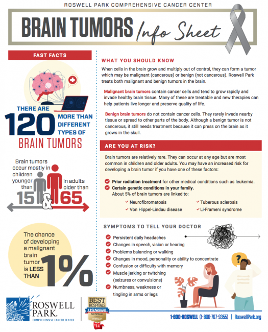 10 Facts About Brain Tumors Fact File