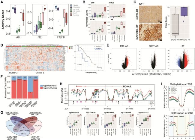 Smiraglia Lab Publications | Roswell Park Comprehensive Cancer Center ...