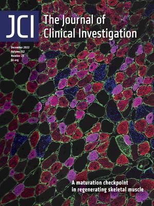 Nemeth Lab Research Focus: TNBC | Roswell Park Comprehensive Cancer ...