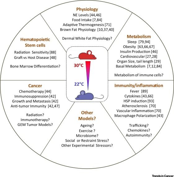Repasky Lab News & Media | Roswell Park Comprehensive Cancer Center ...