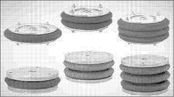 Abdominal Shaking Device | Roswell Park Comprehensive Cancer Center ...