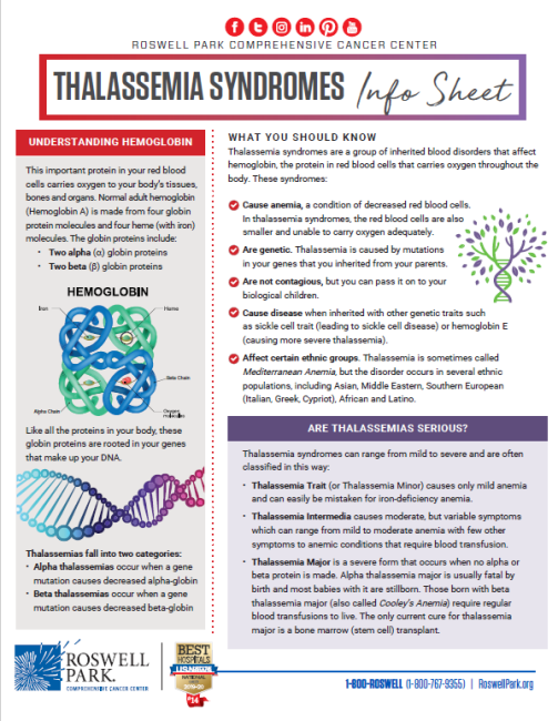 Thalassemia Syndromes | Roswell Park Comprehensive Cancer Center ...